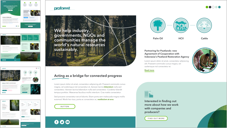 Proforest - Liquid Light