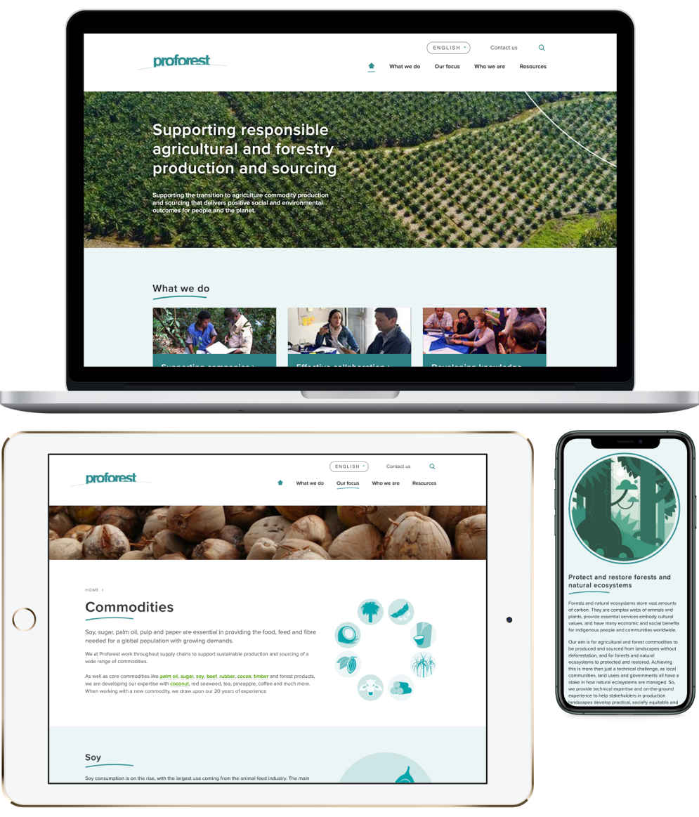 Proforest - Liquid Light